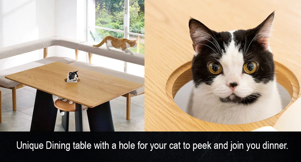 Unique Dining table with a hole for your cat to peek and join you dinner.