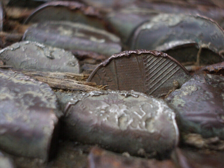 The Mystical Money Tree of the Scottish Highlands: A 1,700-Year-Old ...